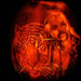 2021 Pumpkin Carving Contest Winners
